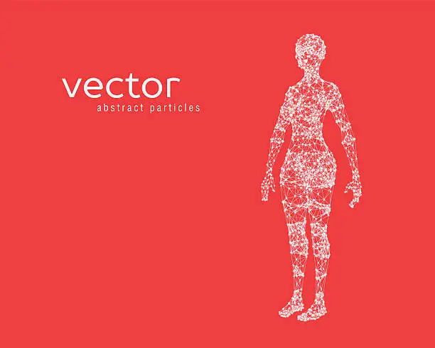 Free Female Body Outline Medical Vector Images Freeimages