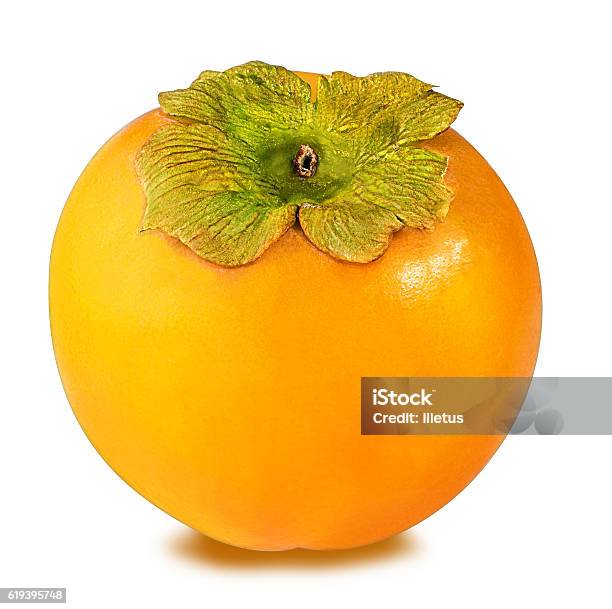Persimmon 후르트 흰색 바탕에 0명에 대한 스톡 사진 및 기타 이미지 0명 감 감나무 Istock