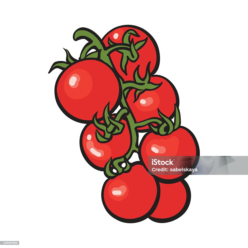 Ilustración de Dibujo Estilo Boceto De Tomates Cherry Rojos Maduros ... Ilustración de Dibujo Estilo Boceto De Tomates Cherry Rojos Maduros ...