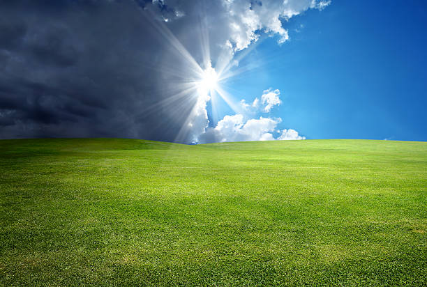 Sunny Weather Pictures | Download Free Images on Unsplash