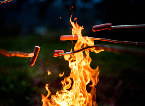 Free Stock Photo of Two Hot Dogs Roasting Over a Fire | Download Free ...