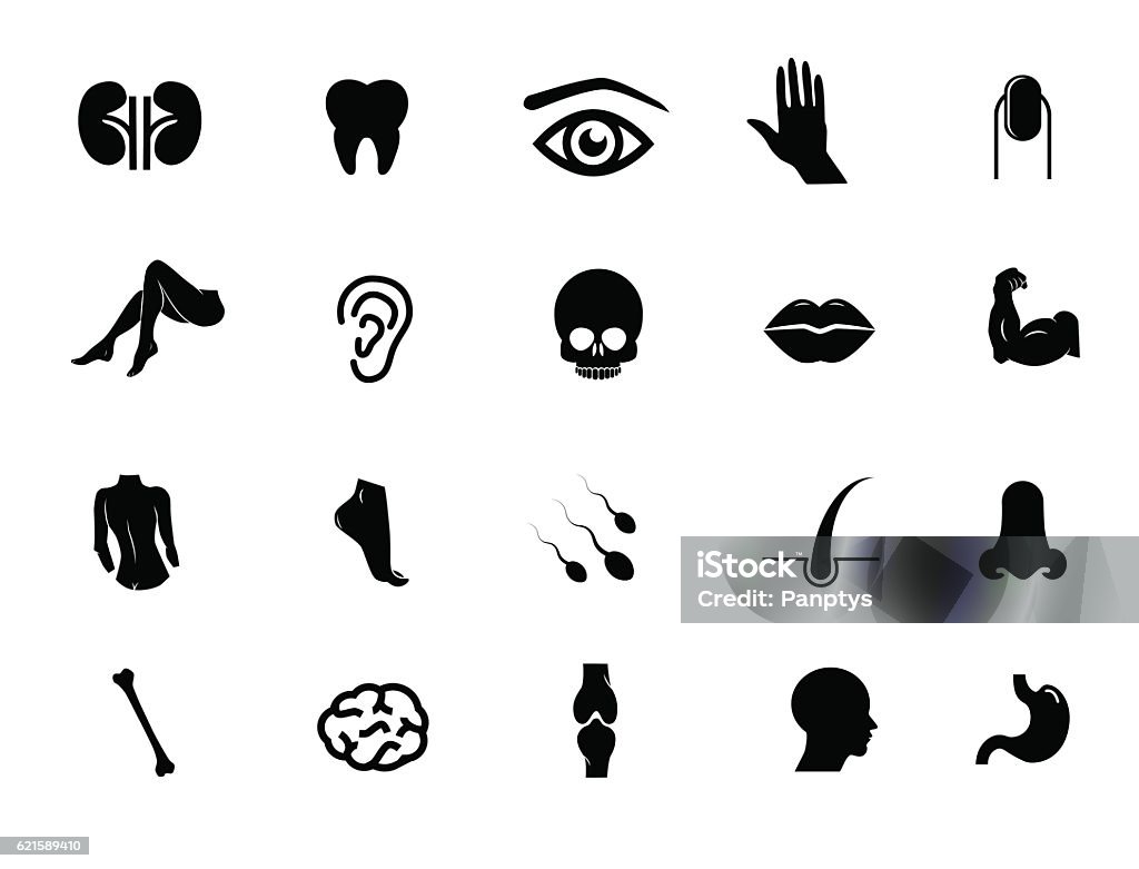 Vetores De Conjunto De Ícones De Partes Do Corpo Humano E Mais Imagens