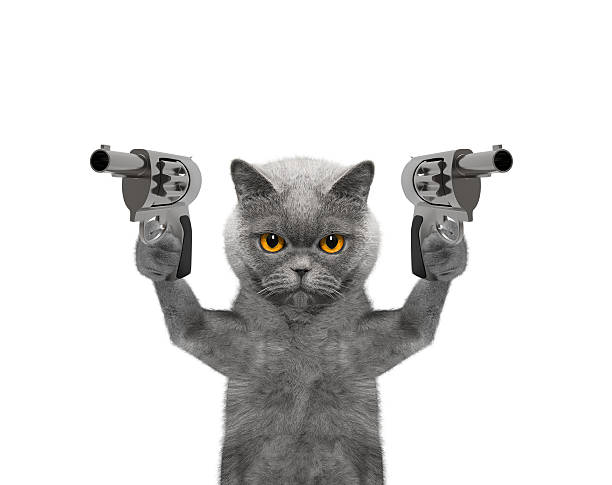 Scary Cats With Guns