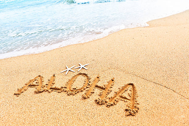 Free Stock Photo of Aloha | Download Free Images and Free Illustrations