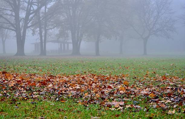 Bussy Pictures [HD] | Download Free Images on Unsplash