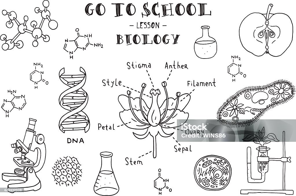 Biologia Szkice Ręczne Na Temat Biologii Ilustracja Wektorowa ... Biologia Szkice Ręczne Na Temat Biologii Ilustracja Wektorowa ...