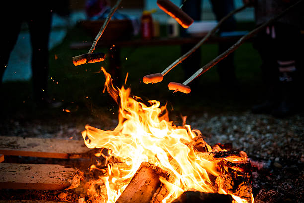 Free Stock Photo of Two Hot Dogs Roasting Over a Fire | Download Free ...