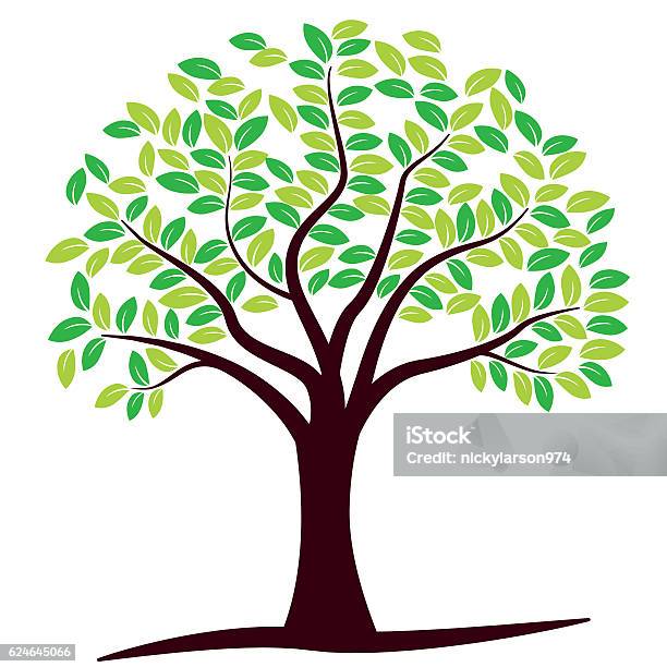 Tree On White Background向量圖形及更多夏天圖片 夏天 大自然 插圖 Istock
