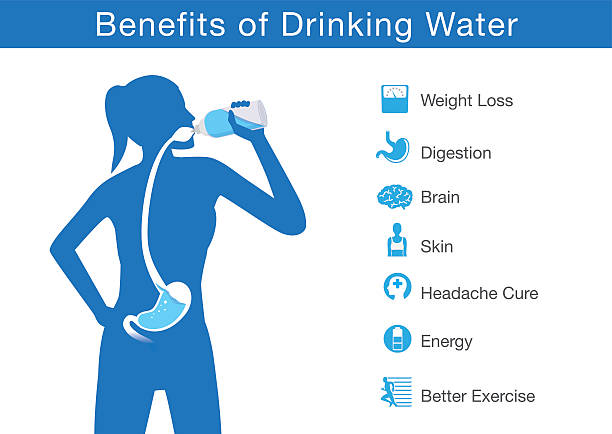 5 900 Person Drinking Water Stock Illustrations Royalty Free Vector
