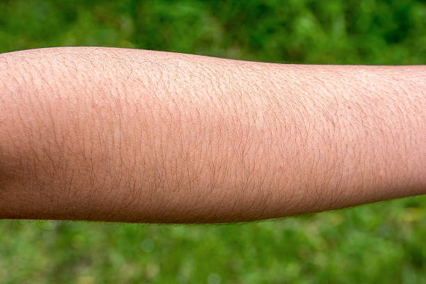 1K+ Woman Hairy Arm Pictures | Download Free Images on Unsplash