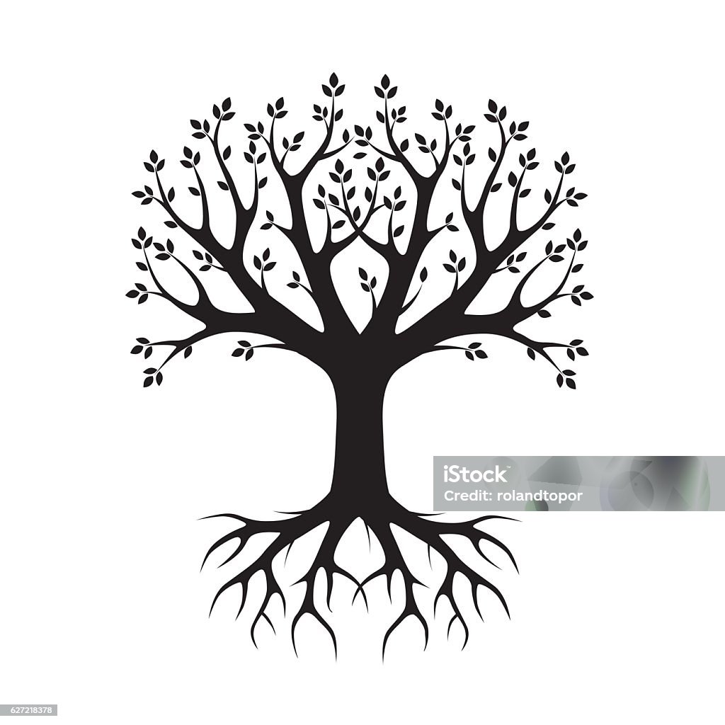 Black Vector Tree And Roots Vector Illustration Park And Nature向量圖形及更多根