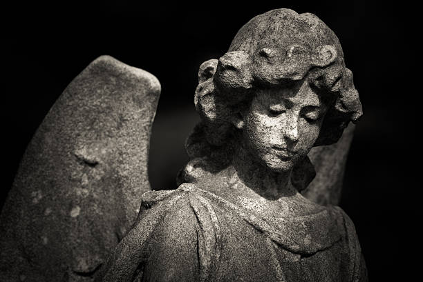 Guardian Angel Pictures | Download Free Images on Unsplash