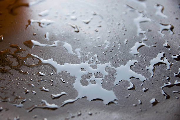 Free Stock Photo of wet table | Download Free Images and Free Illustrations