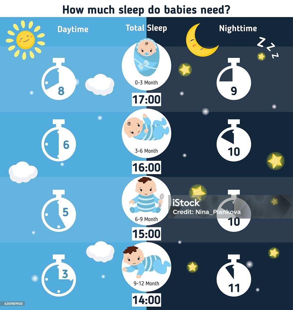 Berapa Banyak Tidur Yang Dibutuhkan Bayi Ilustrasi Stok - Unduh Gambar ... Berapa Banyak Tidur Yang Dibutuhkan Bayi Ilustrasi Stok - Unduh Gambar ...