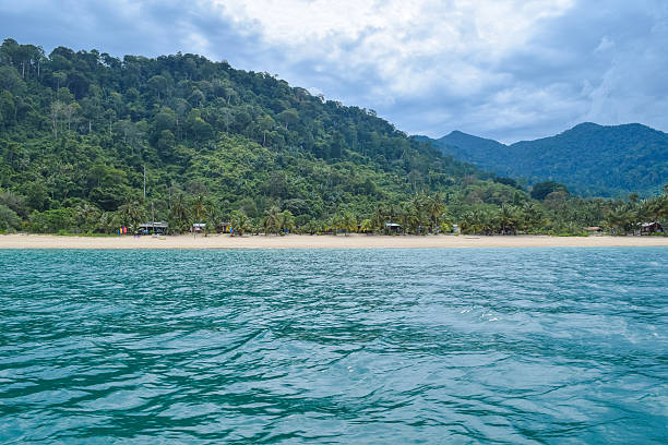Rompin Pictures | Download Free Images on Unsplash