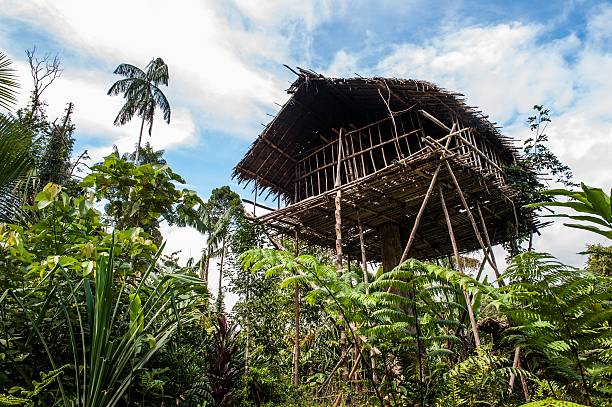 Papua Indonesia Pictures | Download Free Images on Unsplash