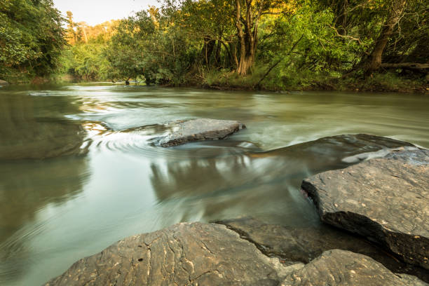 Free picture: tensas, river