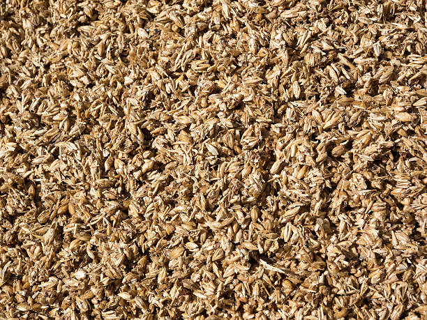 40+ Brewer Spent Grain Stock Photos, Pictures & Royalty-Free Images ... 40+ Brewer Spent Grain Stock Photos, Pictures & Royalty-Free Images ...