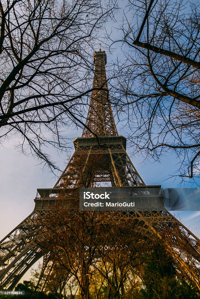 Eiffel Tower Between Trees Stock Photo - Download Image Now - Alley ... Eiffel Tower Between Trees Stock Photo - Download Image Now - Alley ...