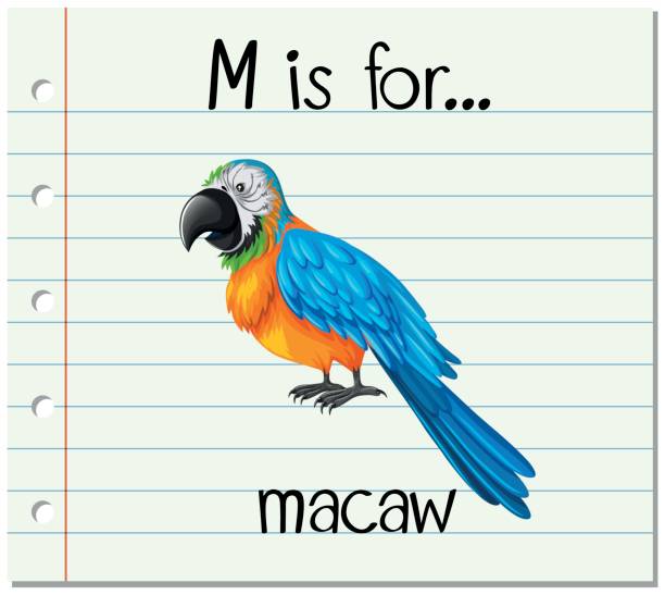 120+ Flashcard Letter M Is For Mammals Stock Illustrations, Royalty ... 120+ Flashcard Letter M Is For Mammals Stock Illustrations, Royalty ...