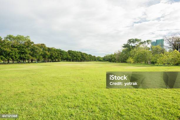 Lapangan Rumput Hijau Di Taman Di Pusat Kota Foto Stok - Unduh Gambar ... Lapangan Rumput Hijau Di Taman Di Pusat Kota Foto Stok - Unduh Gambar ...