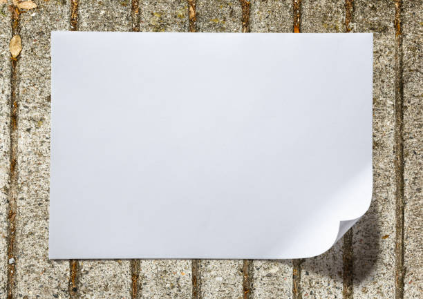 Free Stock Photo of A Piece of Paper Laying on the Ground | Download ...