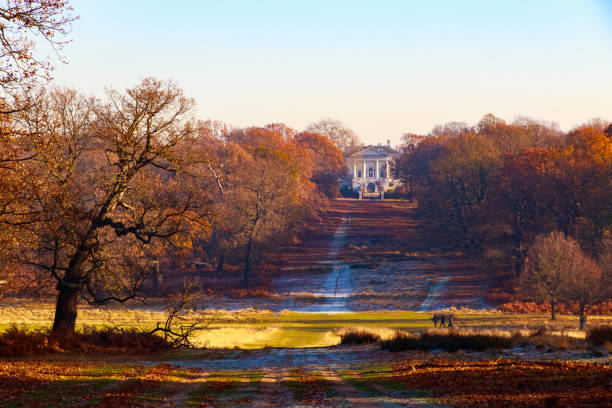 Richmond Park Pictures | Download Free Images on Unsplash