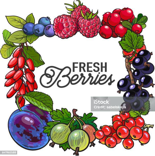 Bingkai Persegi Buah Kebun Dengan Tempat Untuk Teks Di Dalamnya ... Bingkai Persegi Buah Kebun Dengan Tempat Untuk Teks Di Dalamnya ...