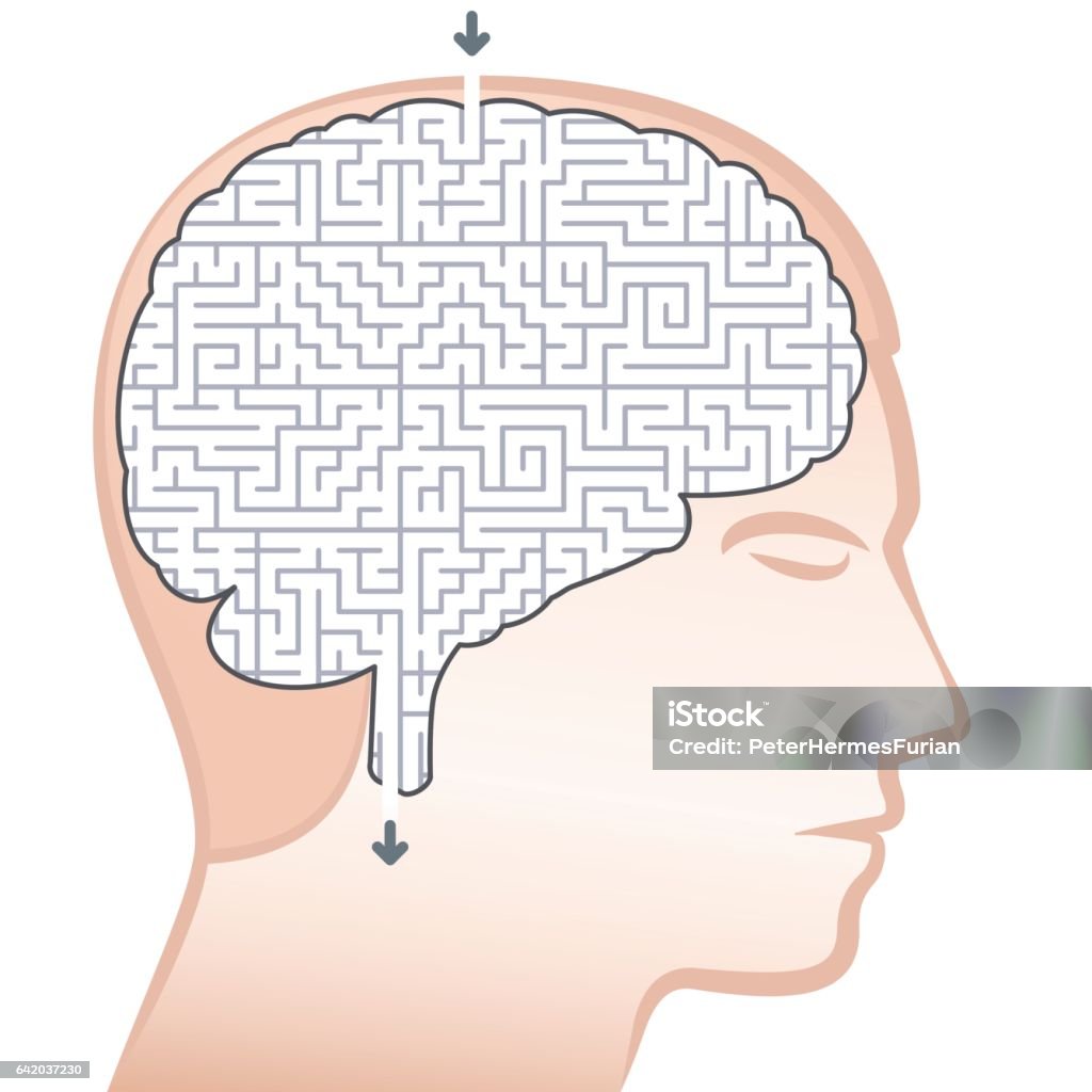 Brain Maze Symbol For Complex Or Complicated Thinking Stock ... Brain Maze Symbol For Complex Or Complicated Thinking Stock ...