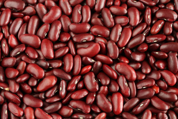 Kidney Beans Pictures | Download Free Images on Unsplash