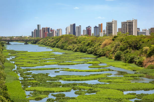 Free teresina stock photos. Download the best free teresina images at ...