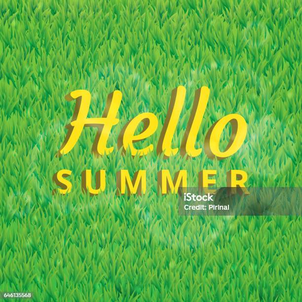 Green Grass Hello Summer Background Stock Illustration Download Image Now Backgrounds