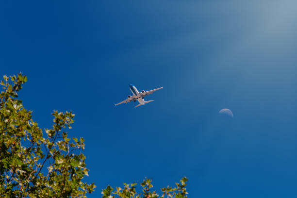 Free Stock Photo of Plane Flying in the Sky With a Half Moon | Download ...