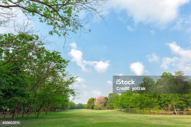 Lapangan Rumput Hijau Di Taman Di Pusat Kota Dengan Langit Biru Foto ... Lapangan Rumput Hijau Di Taman Di Pusat Kota Dengan Langit Biru Foto ...