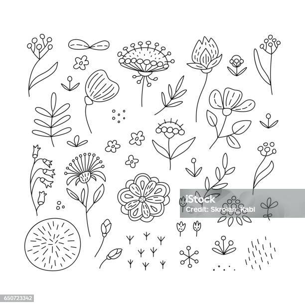 Ilustración De Conjunto De Dibujado A Mano Elementos Florales Y Más