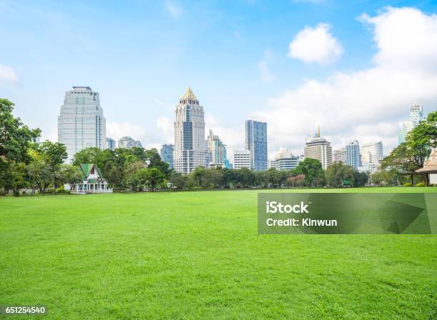 Lapangan Rumput Hijau Di Taman Kota Besar Foto Stok - Unduh Gambar ... Lapangan Rumput Hijau Di Taman Kota Besar Foto Stok - Unduh Gambar ...