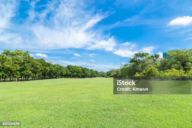 Lapangan Rumput Hijau Di Taman Kota Besar Foto Stok - Unduh Gambar ... Lapangan Rumput Hijau Di Taman Kota Besar Foto Stok - Unduh Gambar ...