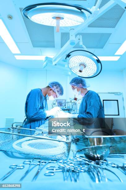 Dua Dokter Bedah Hewan Di Ruang Operasi Foto Stok - Unduh Gambar ... Dua Dokter Bedah Hewan Di Ruang Operasi Foto Stok - Unduh Gambar ...