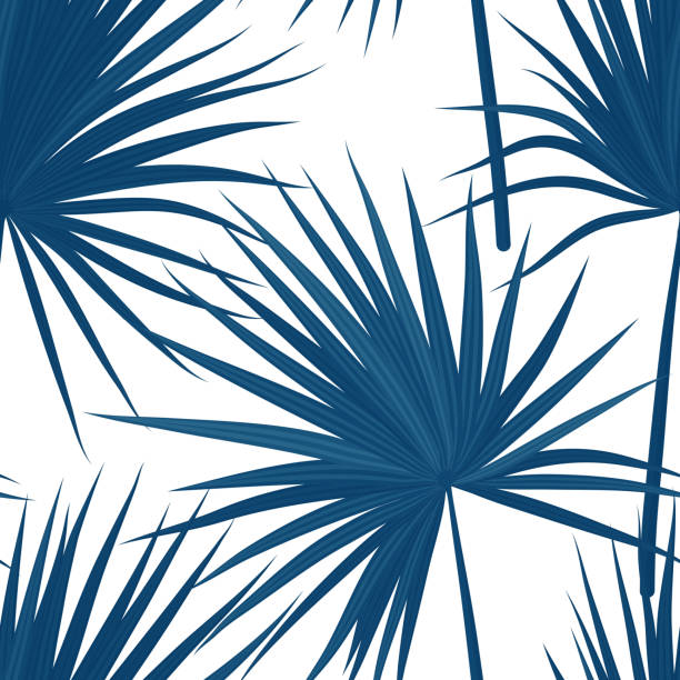 70+ Sabal Palm Tree Stock Illustrations, Royalty-Free Vector Graphics ... 70+ Sabal Palm Tree Stock Illustrations, Royalty-Free Vector Graphics ...