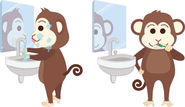 Washing Face Animation