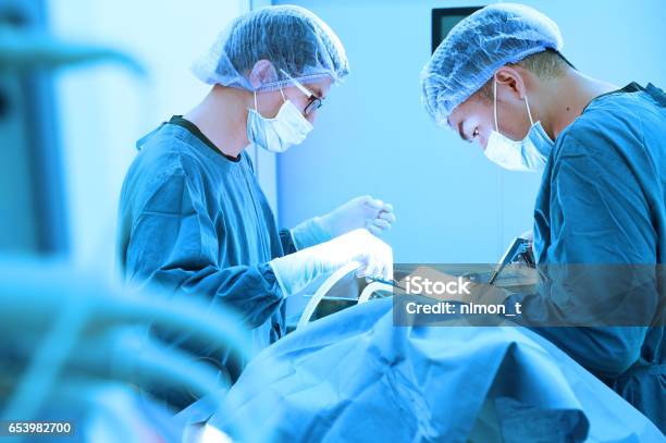 Dua Dokter Bedah Hewan Di Ruang Operasi Foto Stok - Unduh Gambar ... Dua Dokter Bedah Hewan Di Ruang Operasi Foto Stok - Unduh Gambar ...