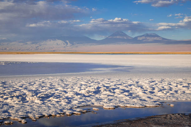 Free picture: Salt lake oasis with deposits of salt on shore on desert ...