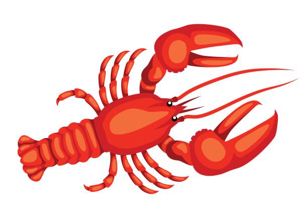 [90] Lobster tail Clipart Vector PNG , SVG, EPS, PSD, AI