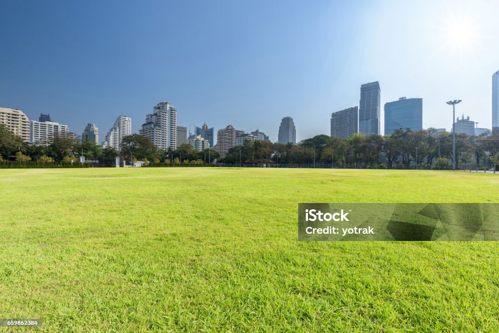 Lapangan Rumput Hijau Di Taman Di Pusat Kota Dengan Langit Biru Dan ... Lapangan Rumput Hijau Di Taman Di Pusat Kota Dengan Langit Biru Dan ...
