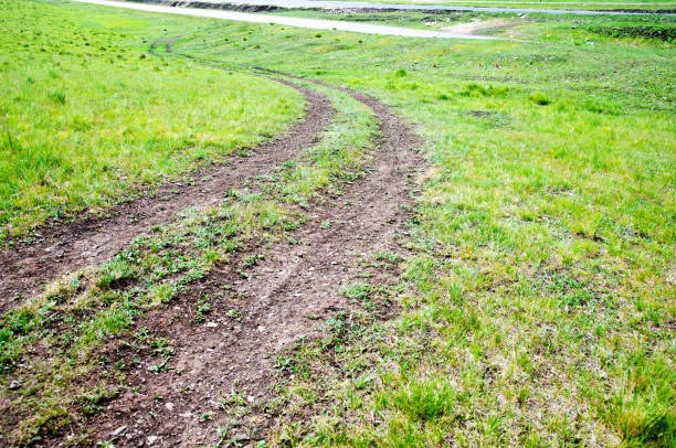 Free Stock Photo of Dirt Road Cutting Through Grassy Field | Download ...