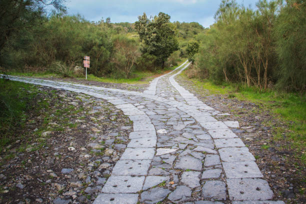 Fork In Road Pictures | Download Free Images on Unsplash