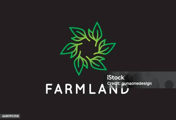 Feuille Symbole Template Design Vecteur Emblème Concept Design Créatif