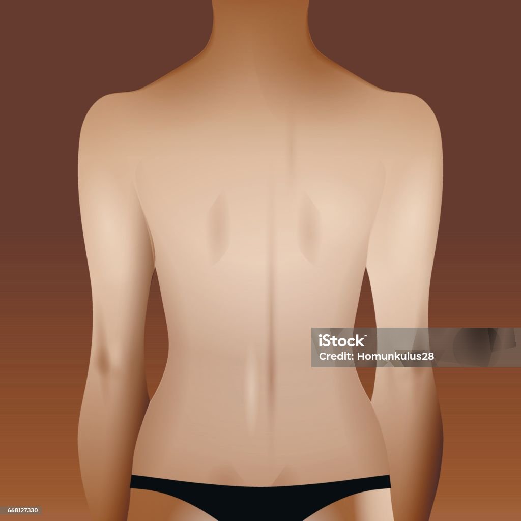 Women Bodies Template Stock Illustration Download Image Now Adult Alternative Pose Anatomy