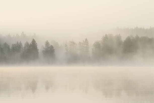 Free picture: Lake water with trees in the dense fog in the background