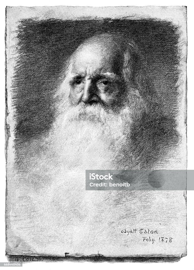 William Cullen Bryant 노인 남자에 대한 스톡 벡터 아트 및 기타 이미지 노인 남자 스케치 턱수염
